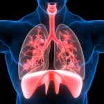 Das Zwerchfell (Diaphragma) - Thorax Schweiz